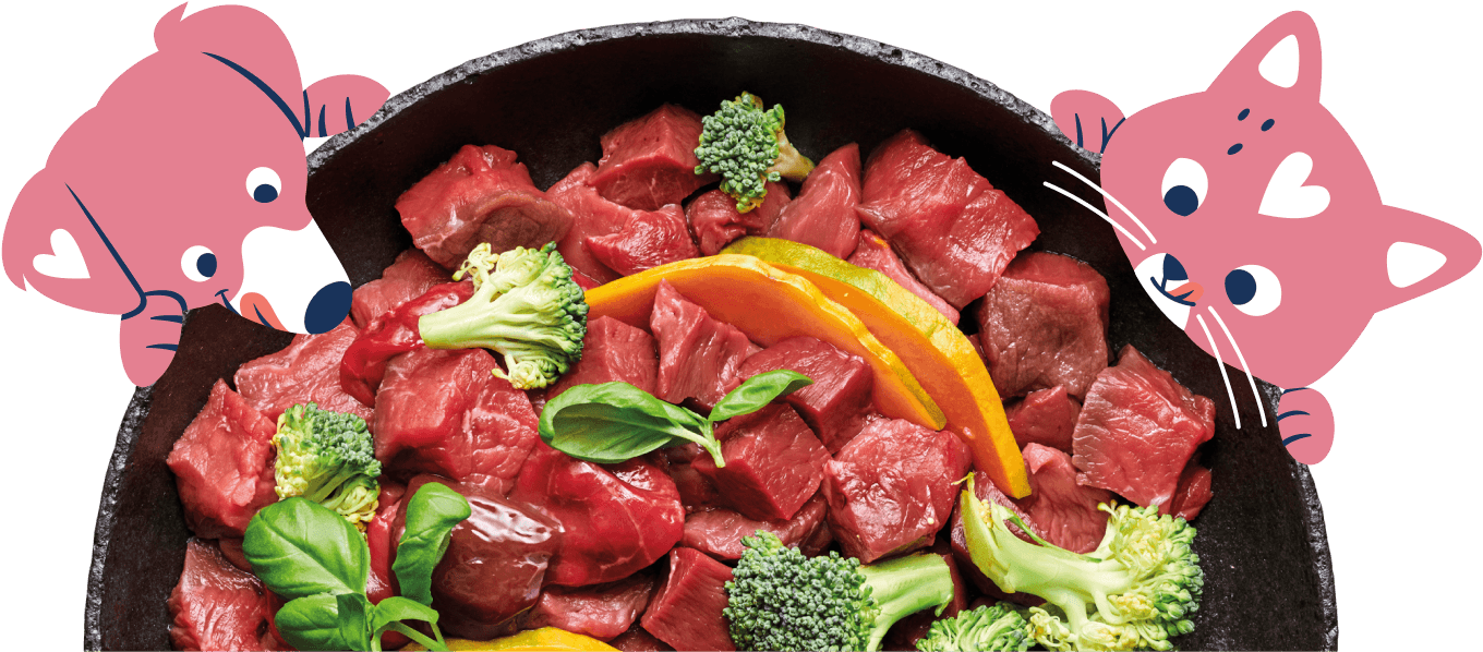 Pets Deli Premium Tiernahrung | Gesundes Hunde- & Katzenfutter - Pets Deli